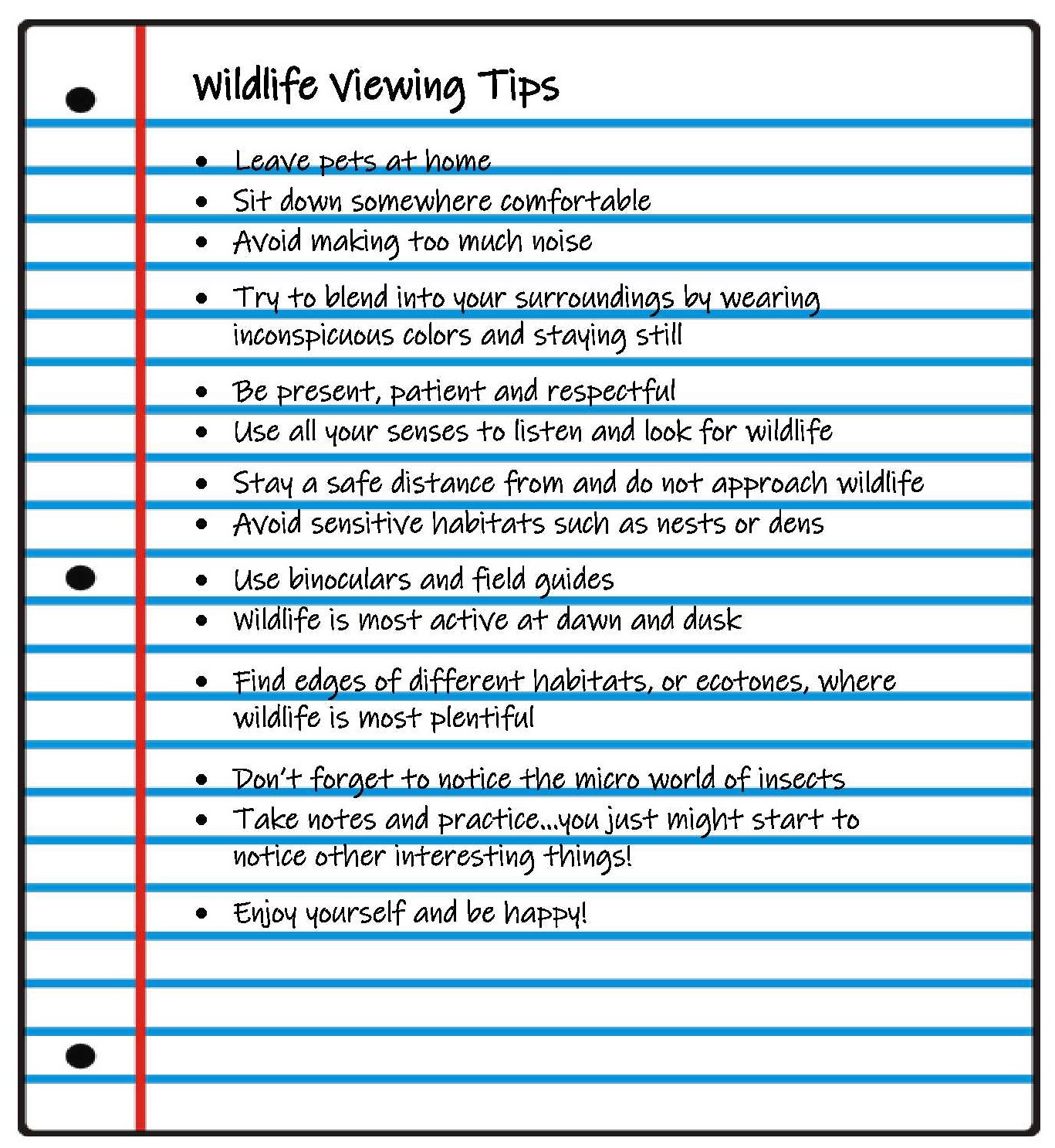 Wildlife Viewing Tips – California Swan Festival